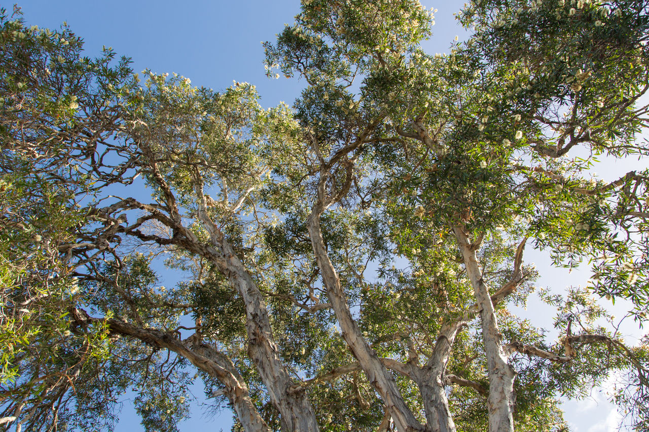 Environmental offsets | Brisbane City Council